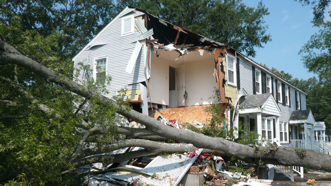 Services | Caliber Adjusters